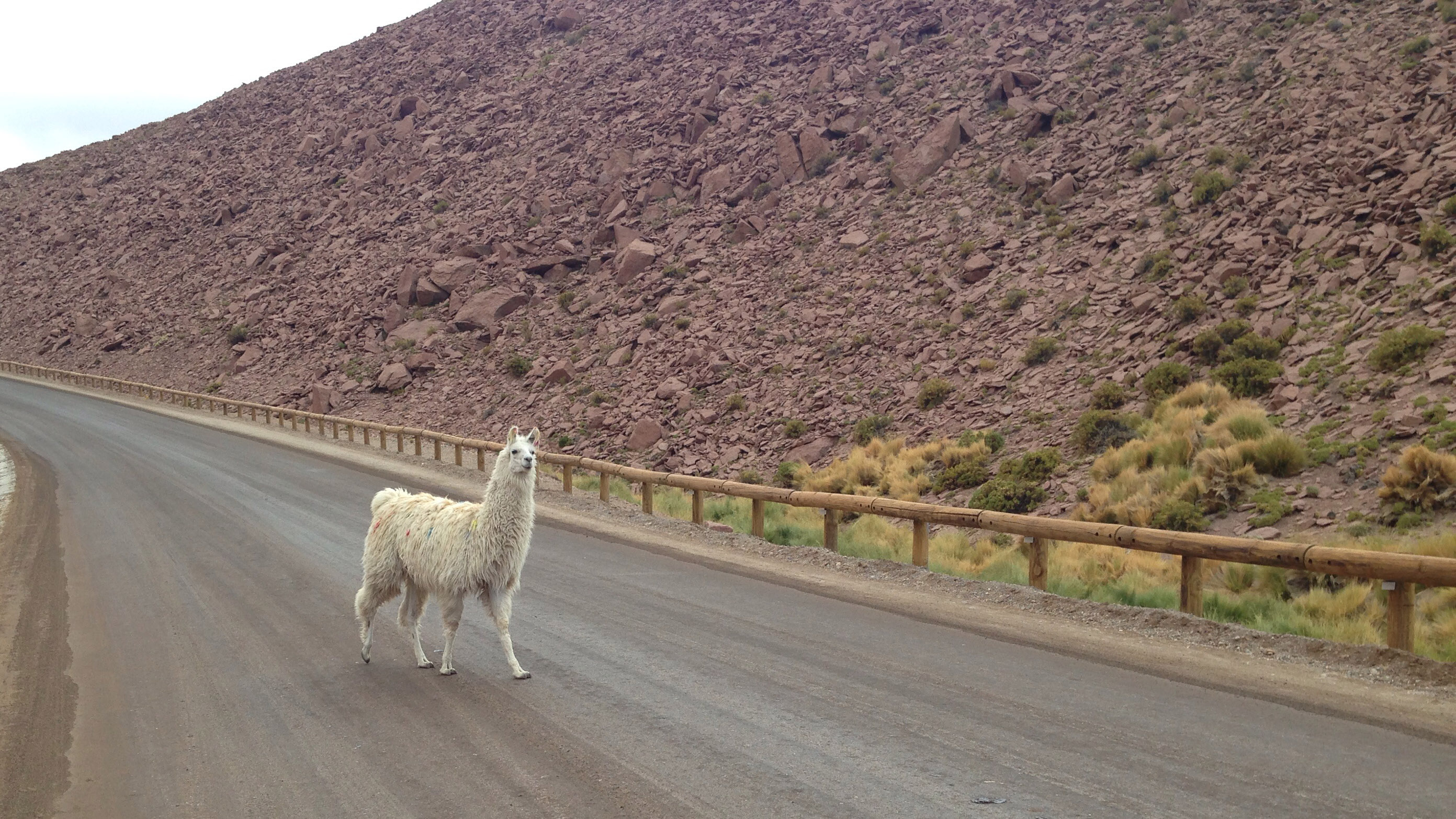 Insights into Chile's digital ecosystem. – A travel report. – Digital ...