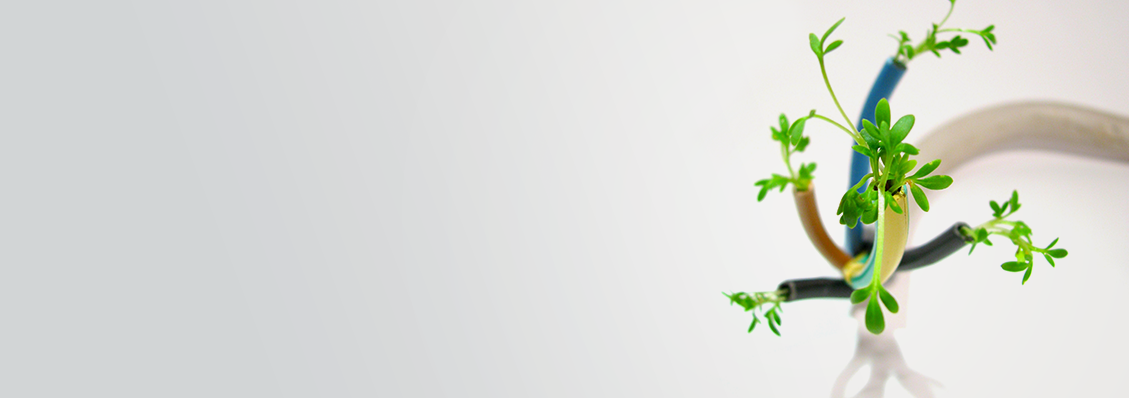 Alexander von Humboldt Institut für Internet und Gesellschaft | HIIG