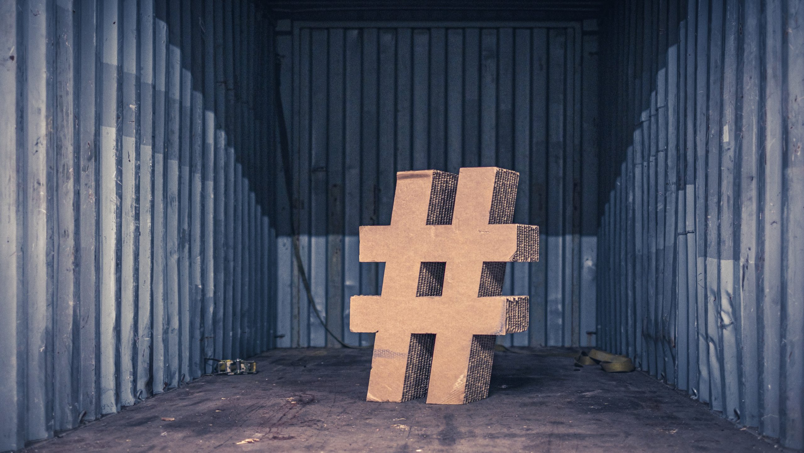 Hijacking Hashtags in Times of COVID-19: How the Far-Right Polarises ...