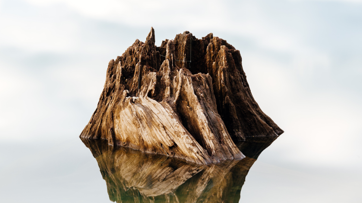 Konferenz: Beate Rössler on Autonomy and its Political Infrastructures ...