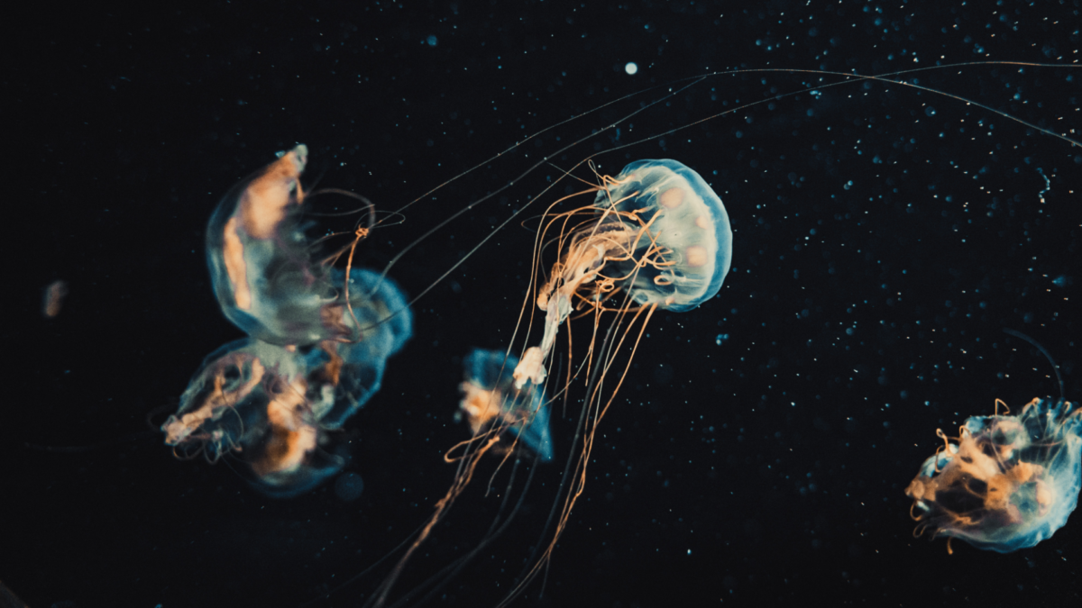 Task Force: Digital Organizing – Research – HIIG