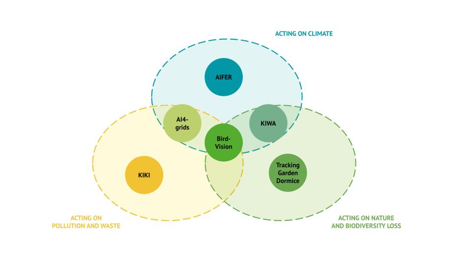 AI for environmental protection – Digital Society Blog