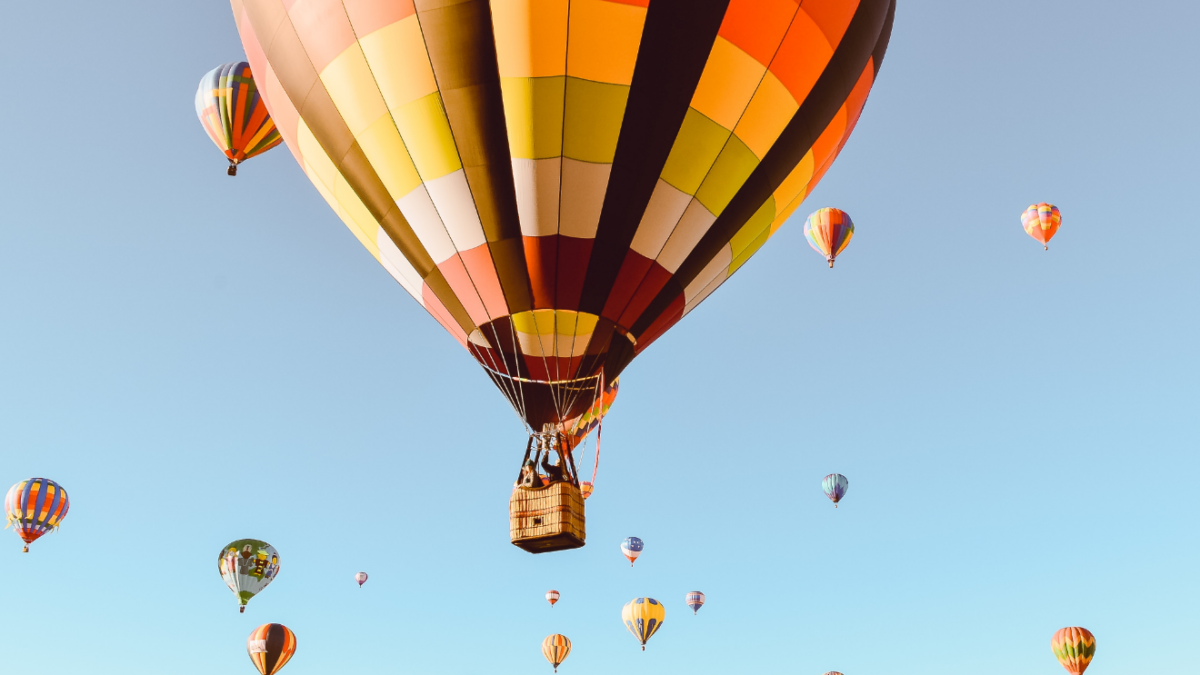 Organisation – HIIG